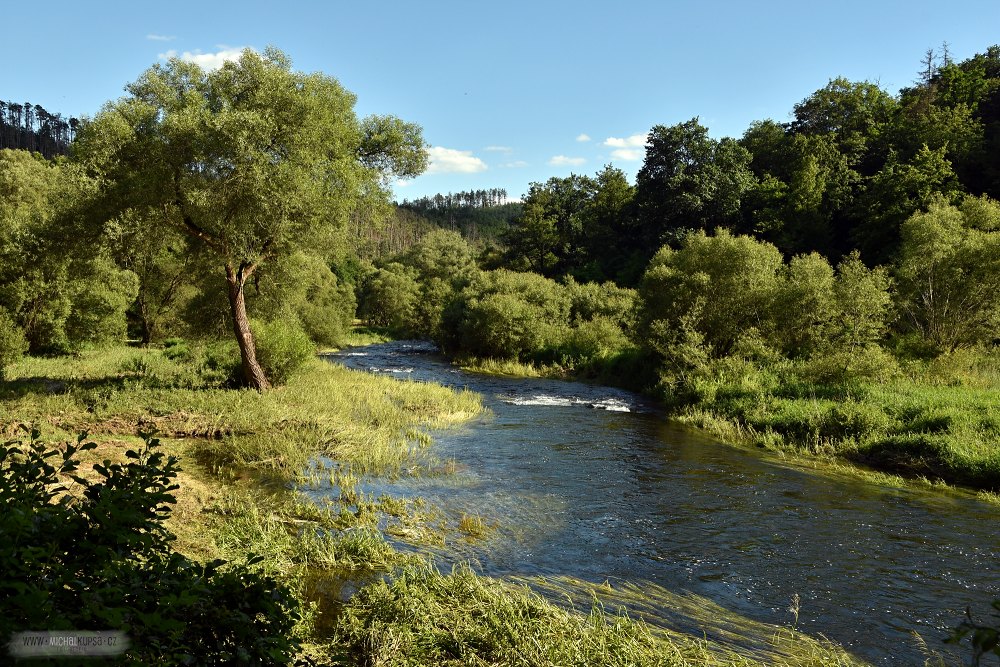 Meander River Basin: Evolution into Focus