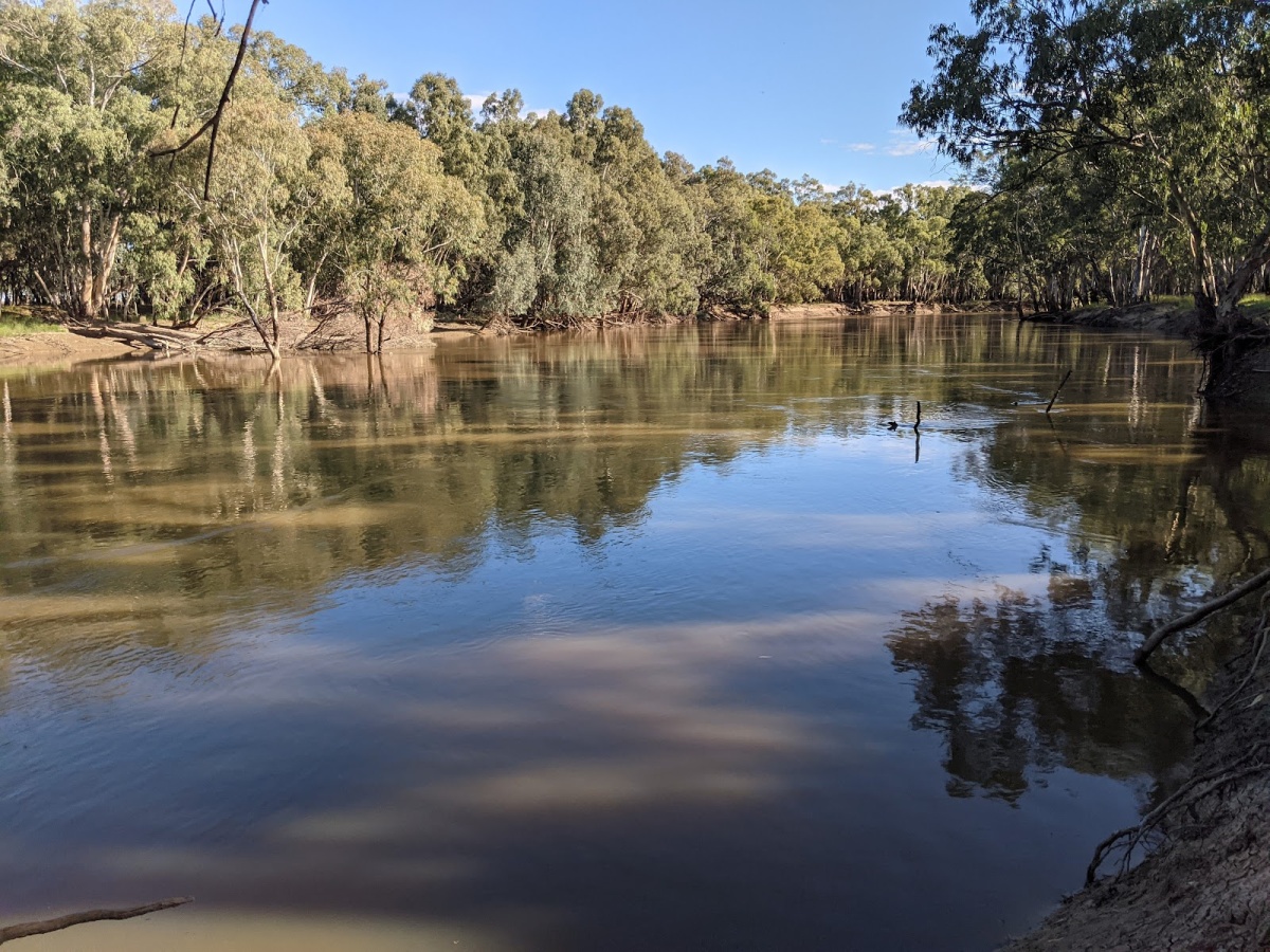 Unveiling the Evolution: Murrumbidgee River Basin's Focus Over Time